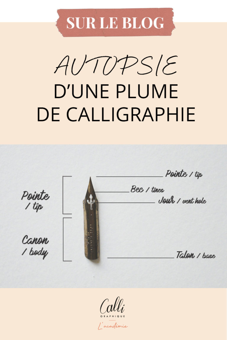 Tout ce que vous devez savoir sur les plumes métal pour débuter en ...