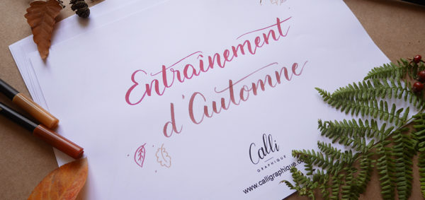 Livret d'entraînement de brush lettering automnal + Livret PDF à ...